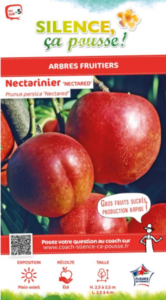 Nectarinier Nectared - ARBRES & FLEURS